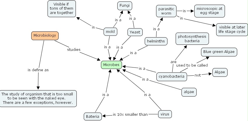 IHMC CmapTools - Concept Map :: Intro microbes