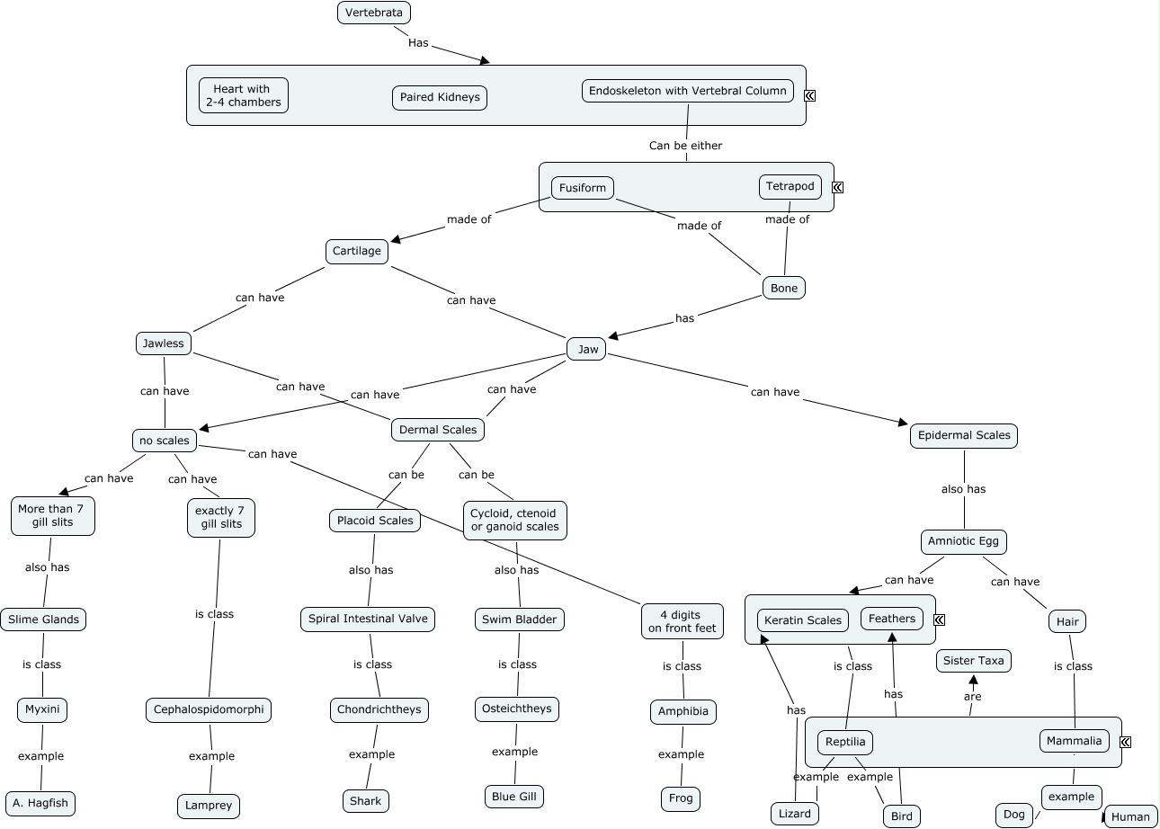 Nichole Brown 4C - What is the relationship between members of the ...