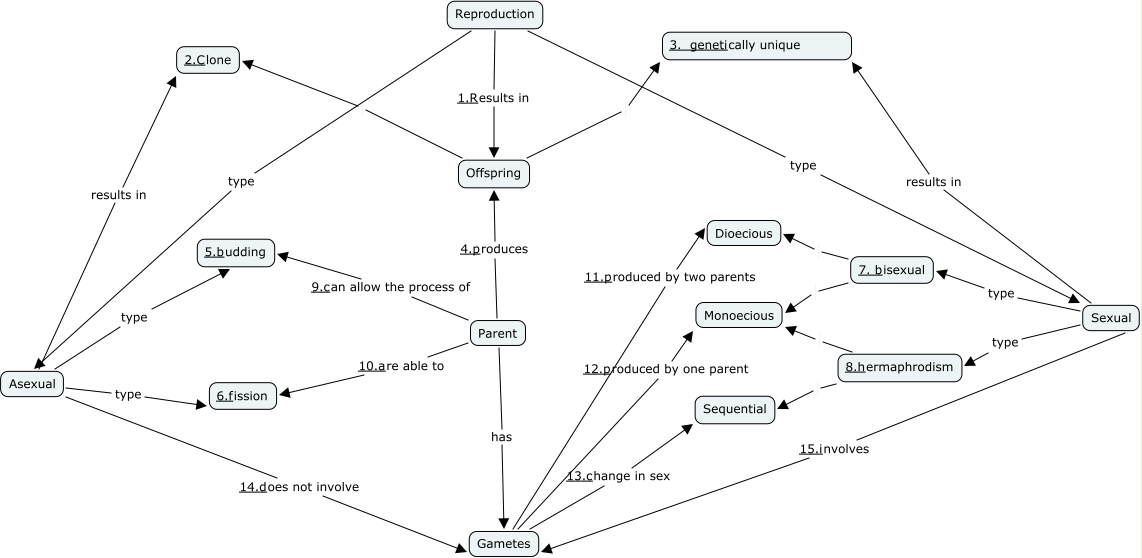 John Dao-Ex 4D-Reproduction