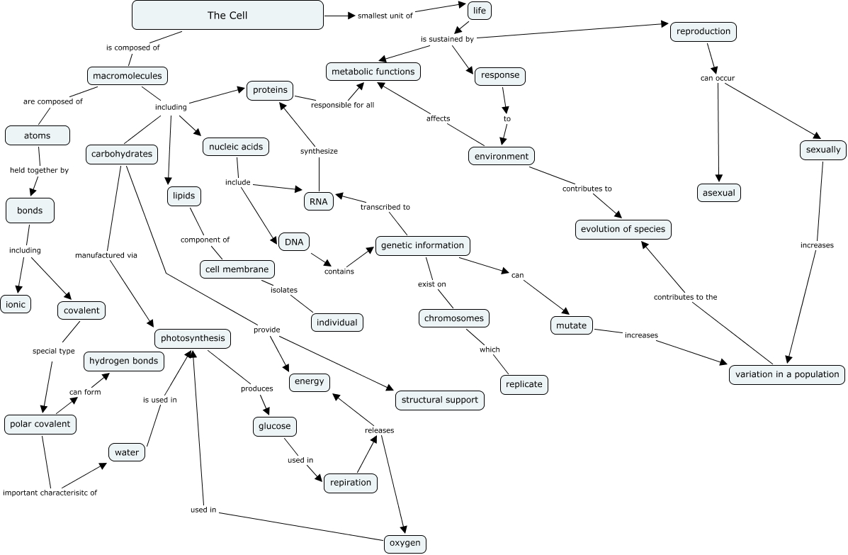 novak cmap2 - what major concepts are taught in the course "cell biology"?