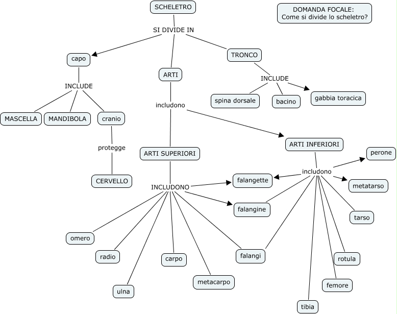 scheletro1mappa concettuale giacomo c