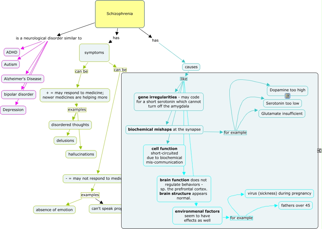 SM Schizophrenia - Overview of Schizophrenia