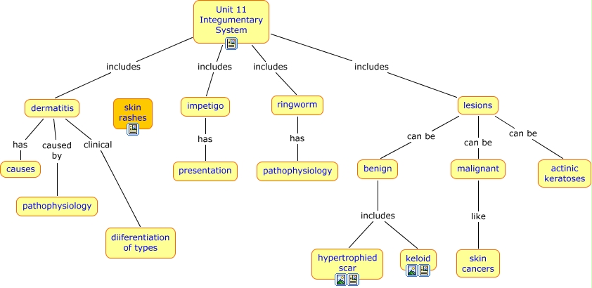 unit 11