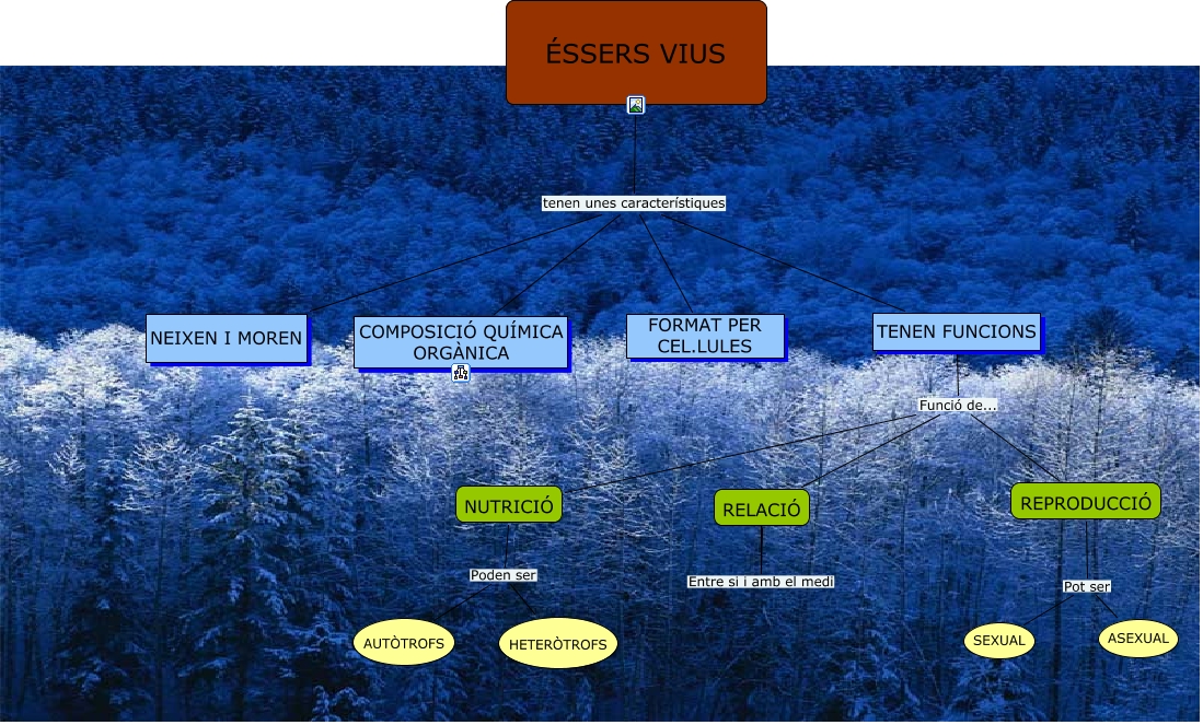 CARACTERÍSTIQUES DELS ÉSSERS VIUS