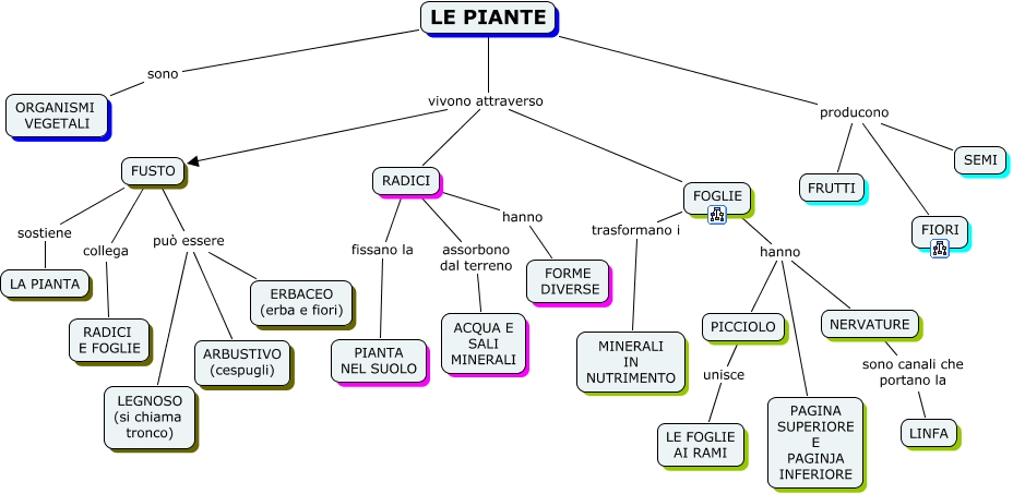 le piante - Mappa Concettuale