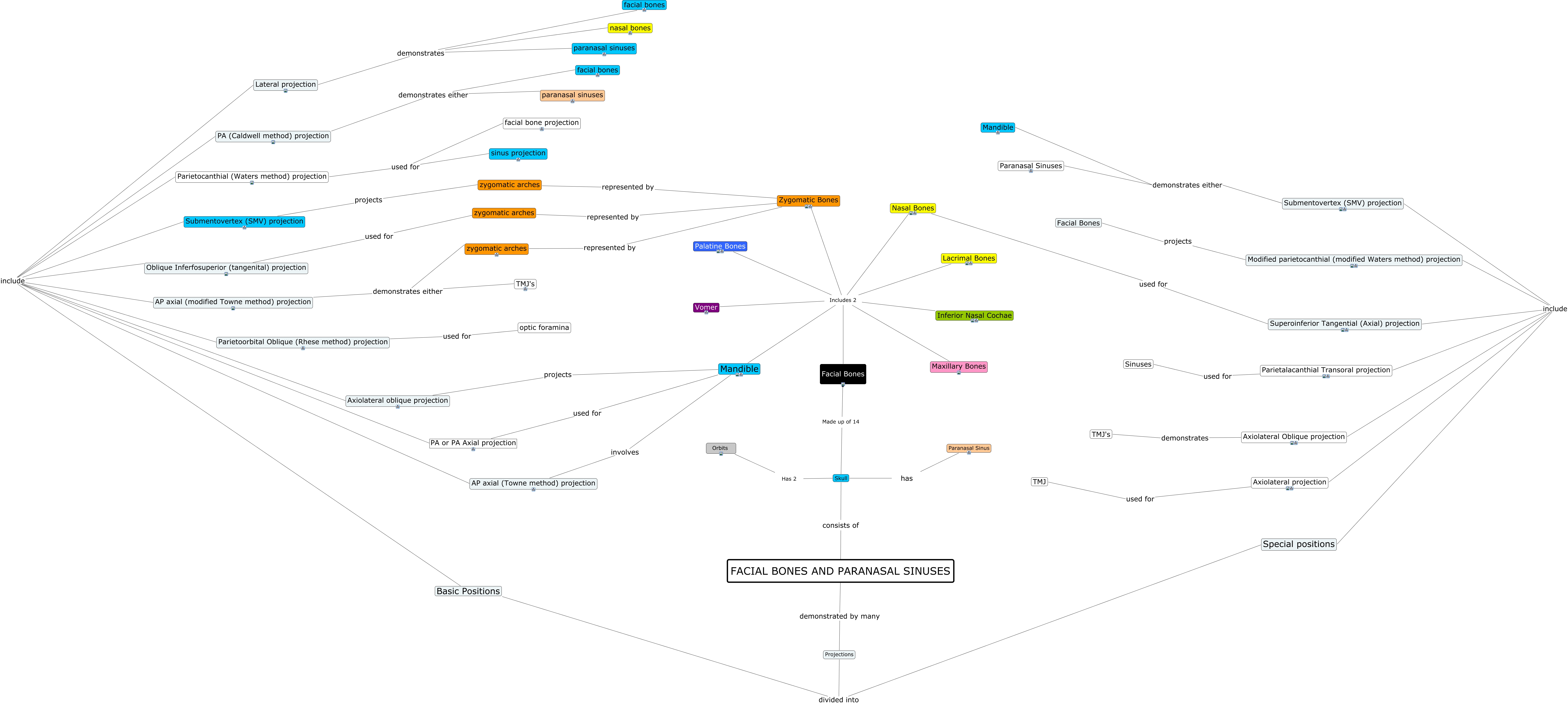 ___Project 2 - CMAP - Lindsey Siddens and Shannon Smith - Facial Bones ...