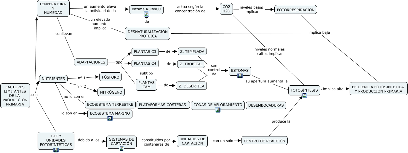 A4 FACTORES LIMITANTES DE LA PRODUCCIÓN PRIMARIA