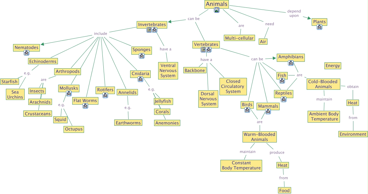 Animals - Description