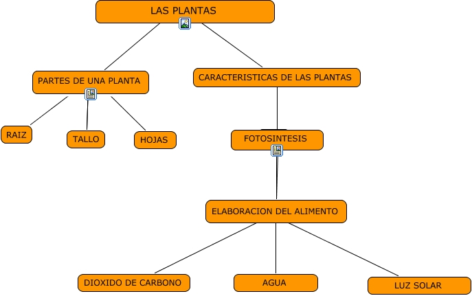 las partes de una planta