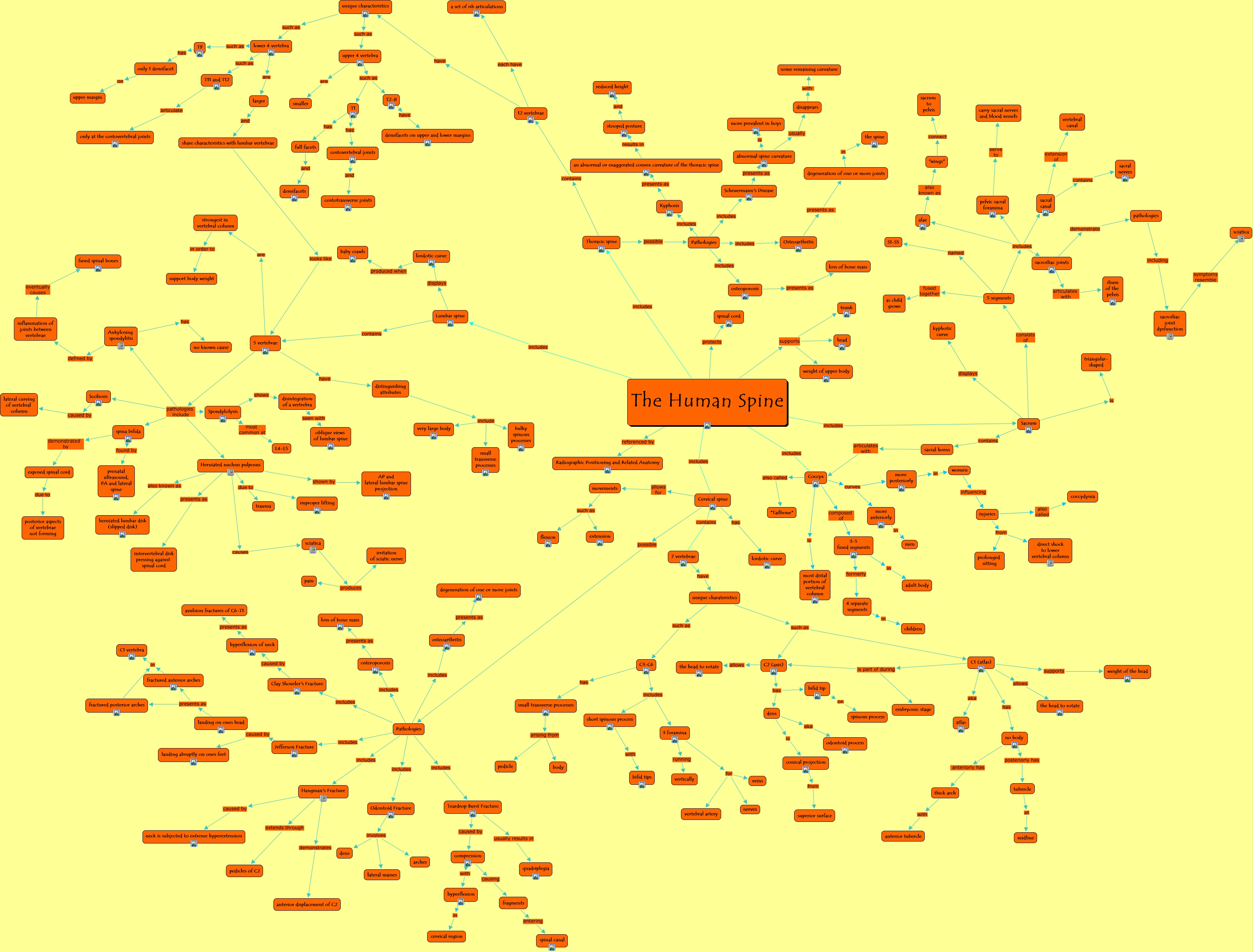 Cindy and Brandy-spine