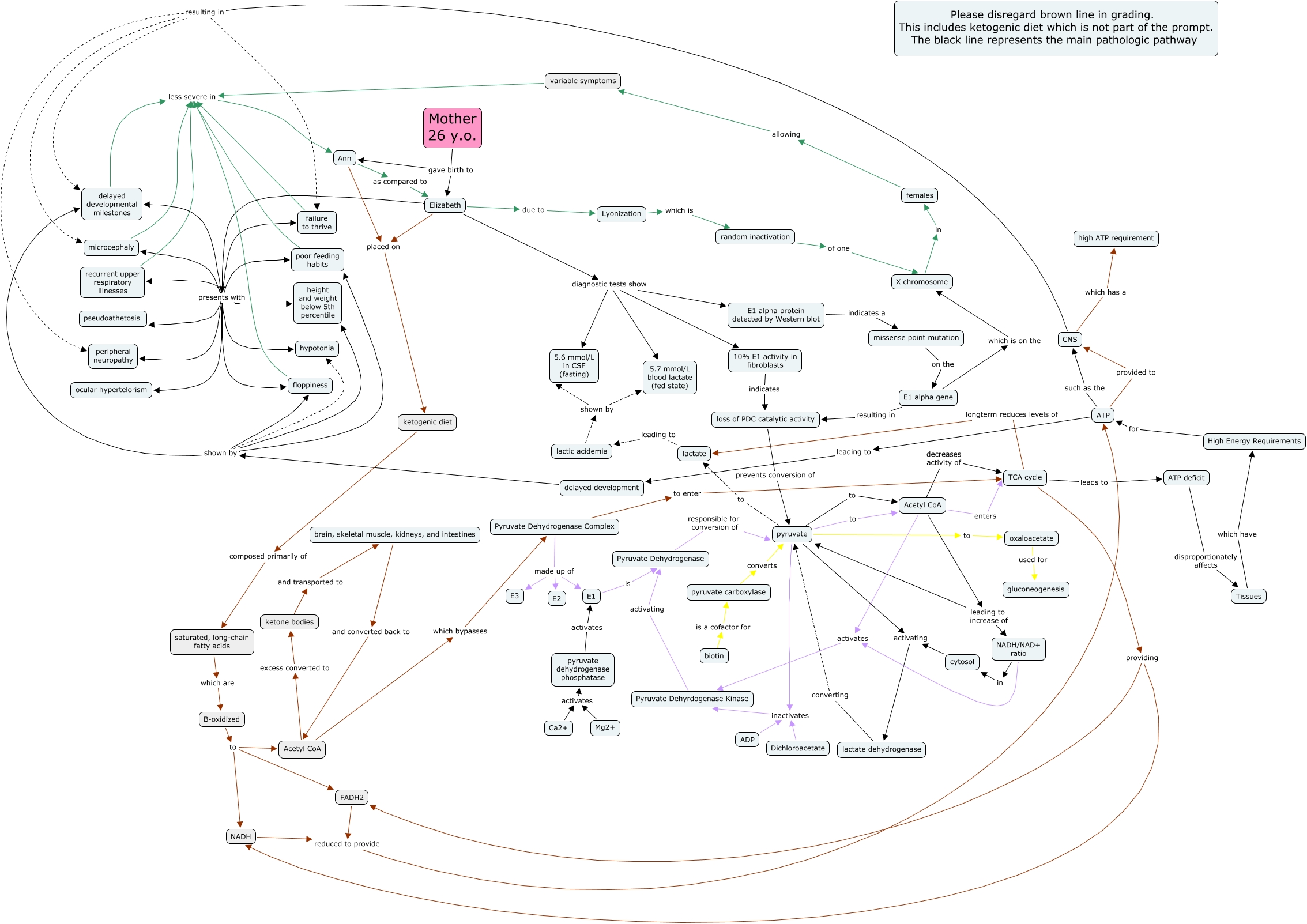 Biochem A1 PDC Deficiency