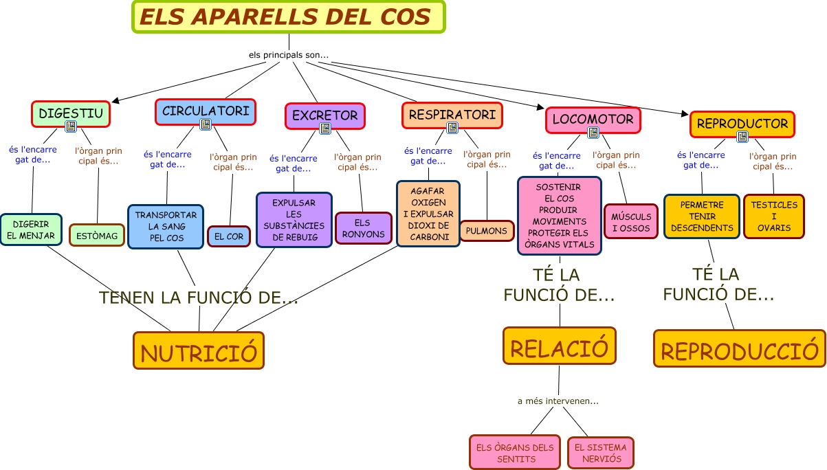 PAULA ELS APARELLS DEL COS