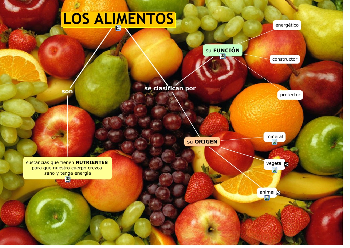 Los alimentos