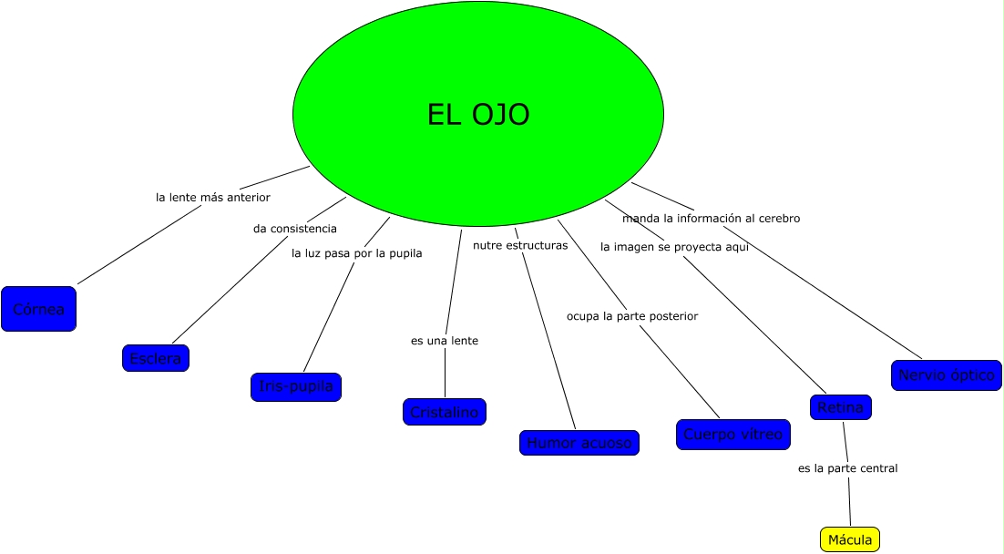 EL ojo
