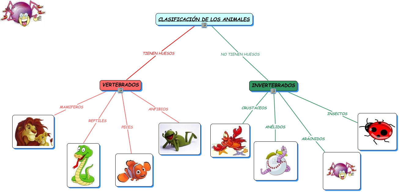 MAPA CONCEPTUAL PRIMARIA CLASIFICACION ANIMALES