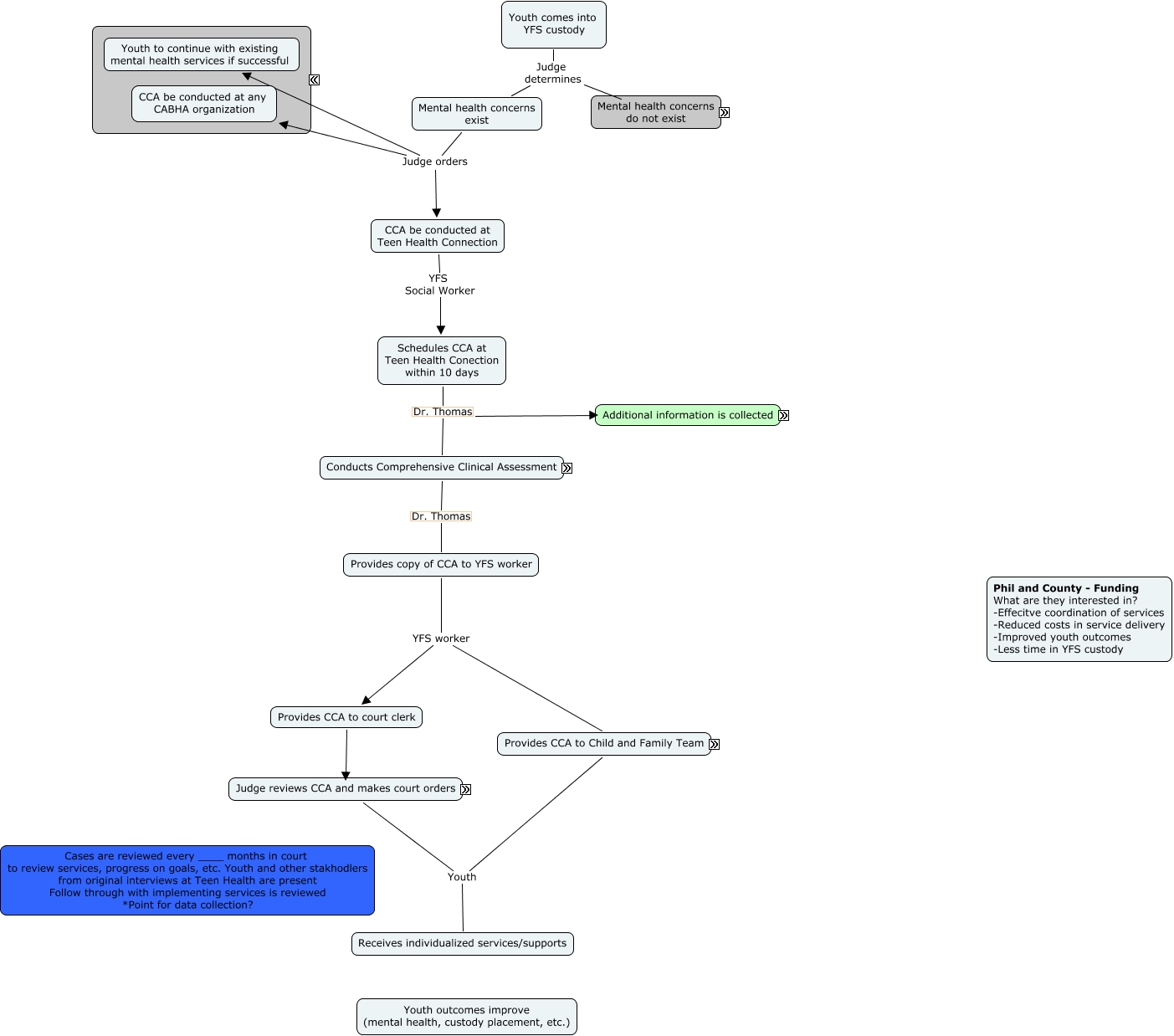 Teen Health Connection CCA process v4 - How does the CCA process work?