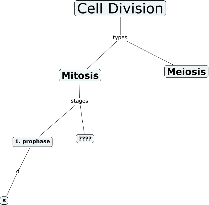 Cell Division Concept Map