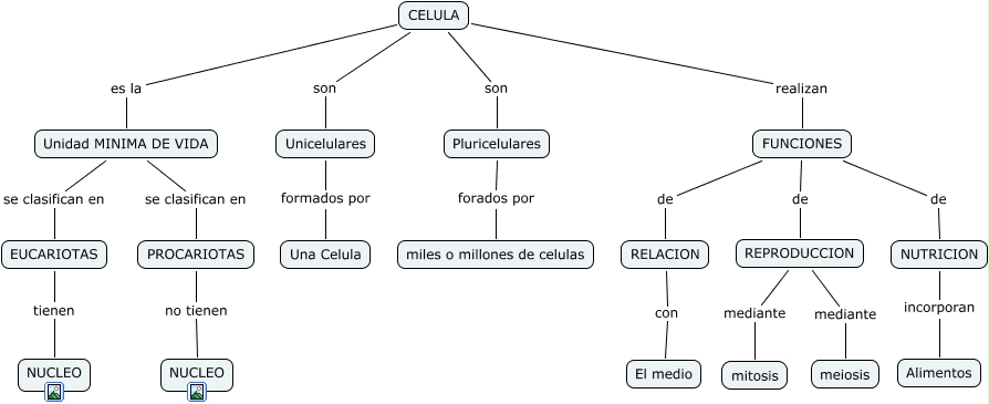 la celula
