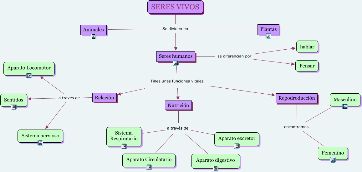 Judit Torres_Seres vivos