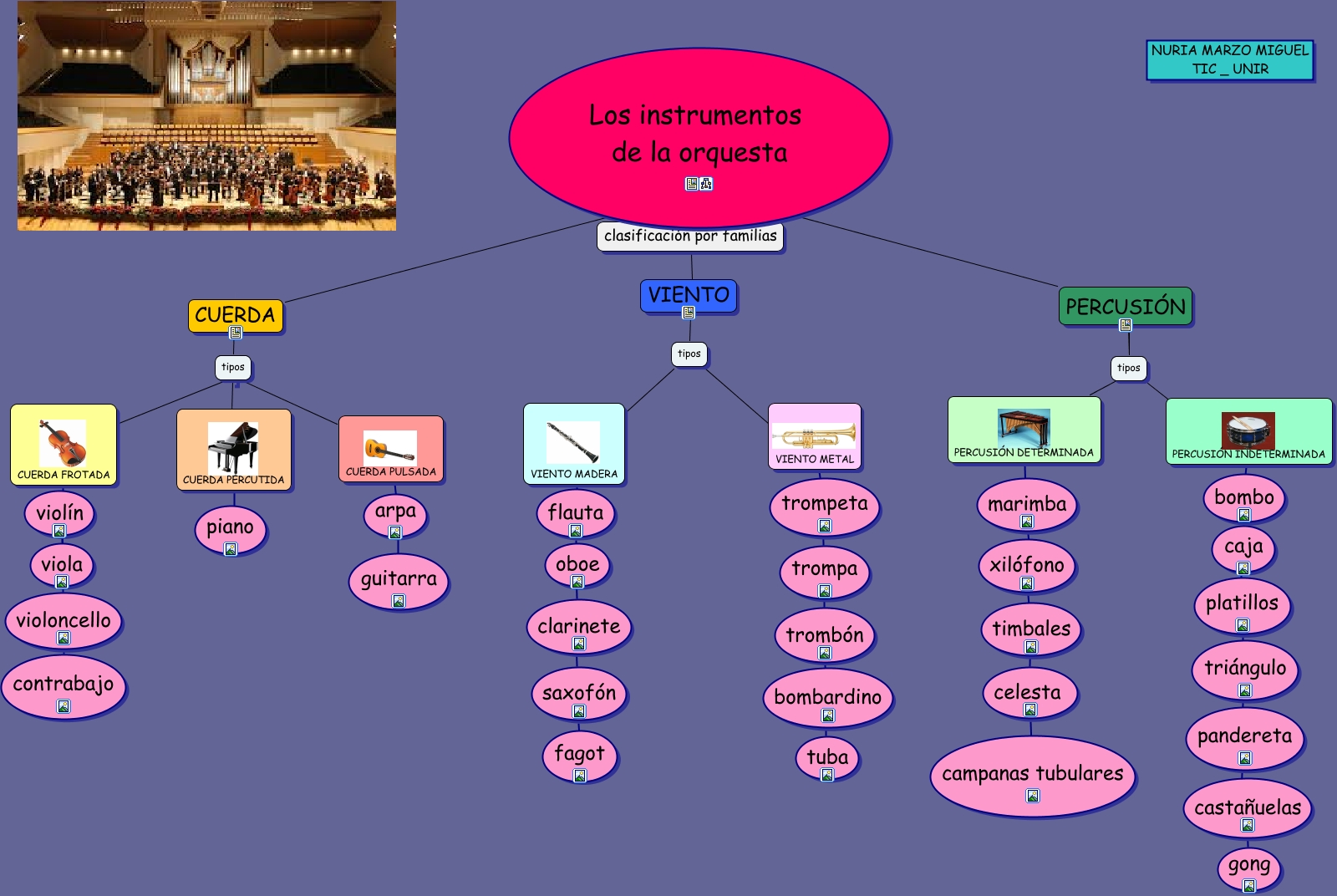 LOS INSTRUMENTOS MUSICALES_UNIR