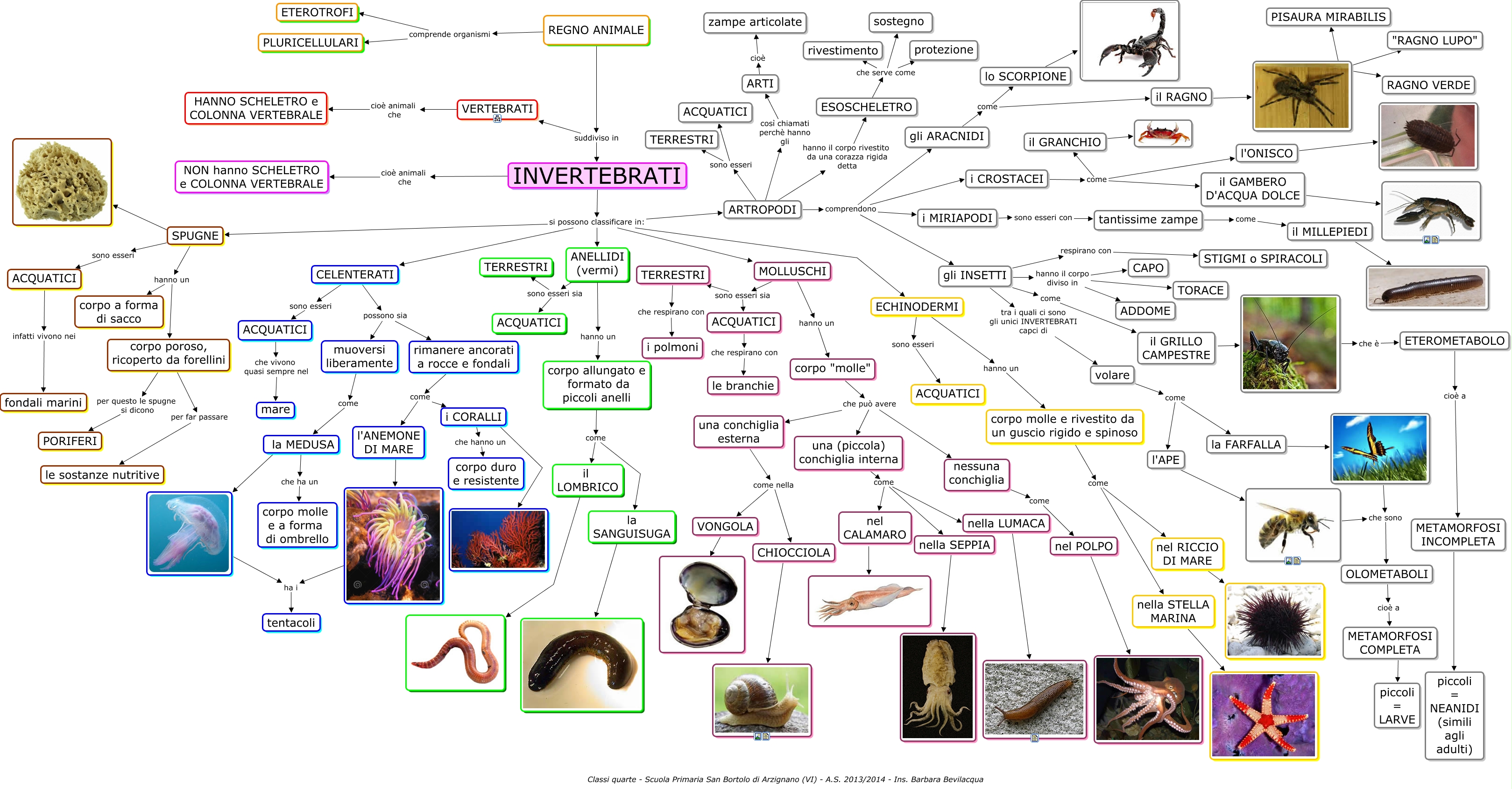 invertebrati_web