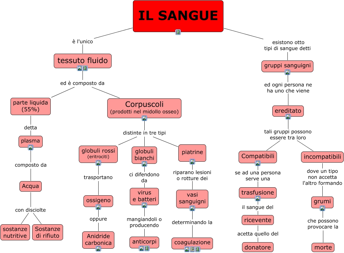 il sangue