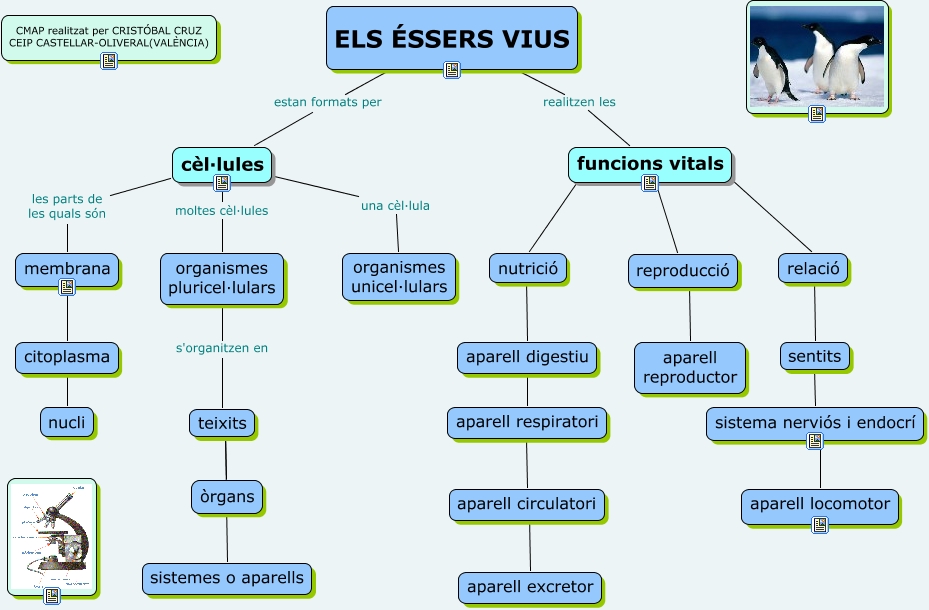 ELS ÉSSERS VIUS