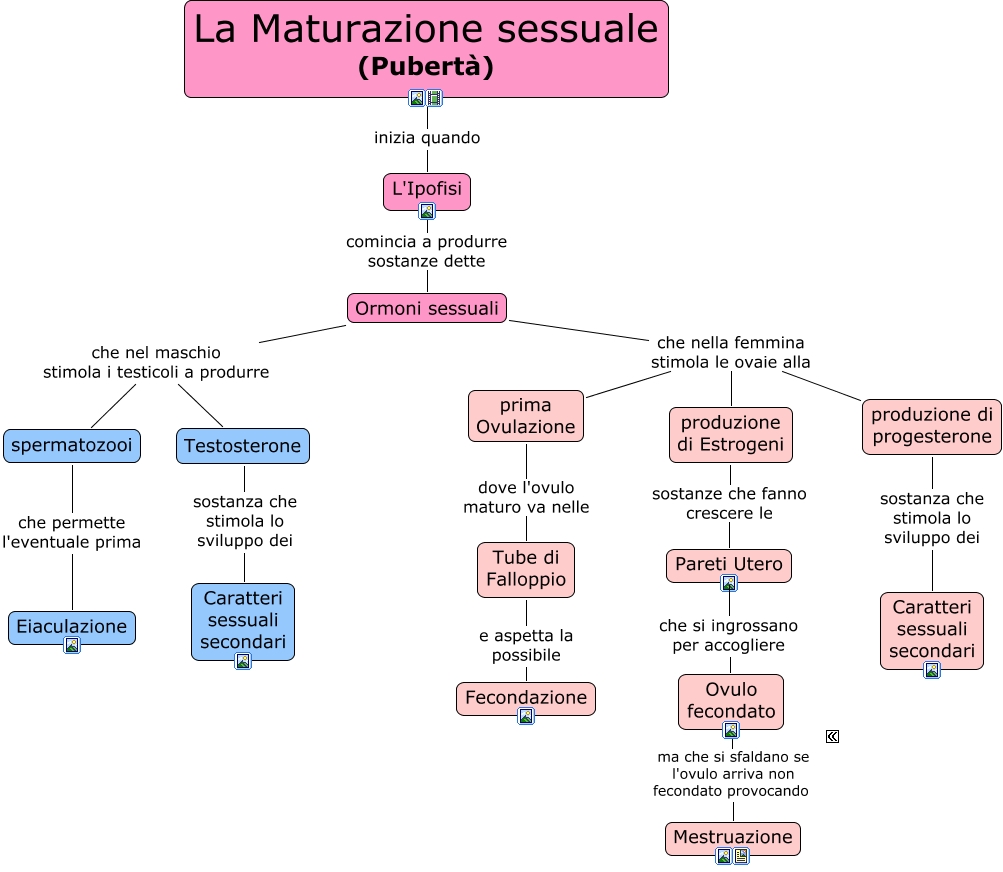 maturazione sessuale