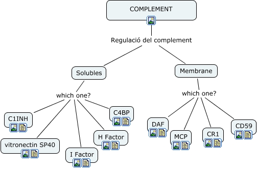 regulación del complemento
