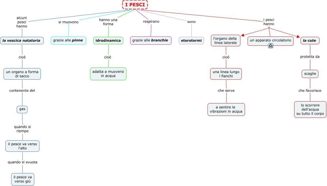 i pesci - Mappa Concettuale