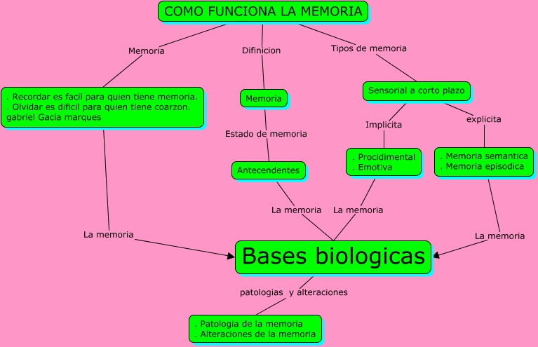 Funcionameinto de la memoria - como funciona