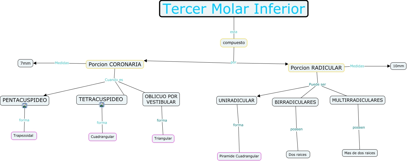 TERCER MOLAR INFERIOR