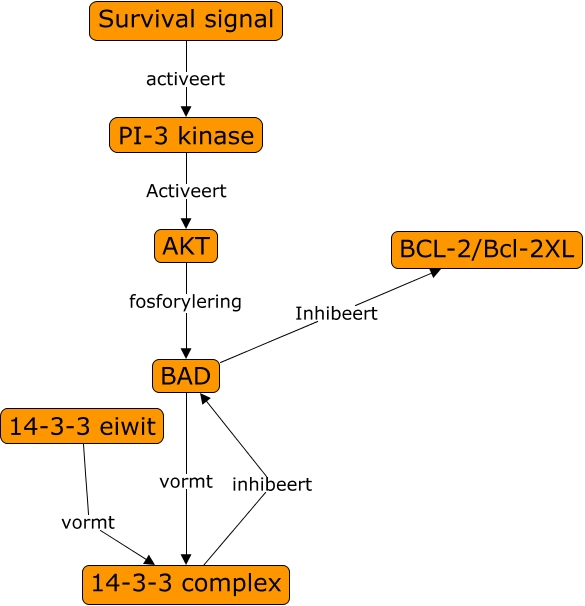 Survival Signal 3A