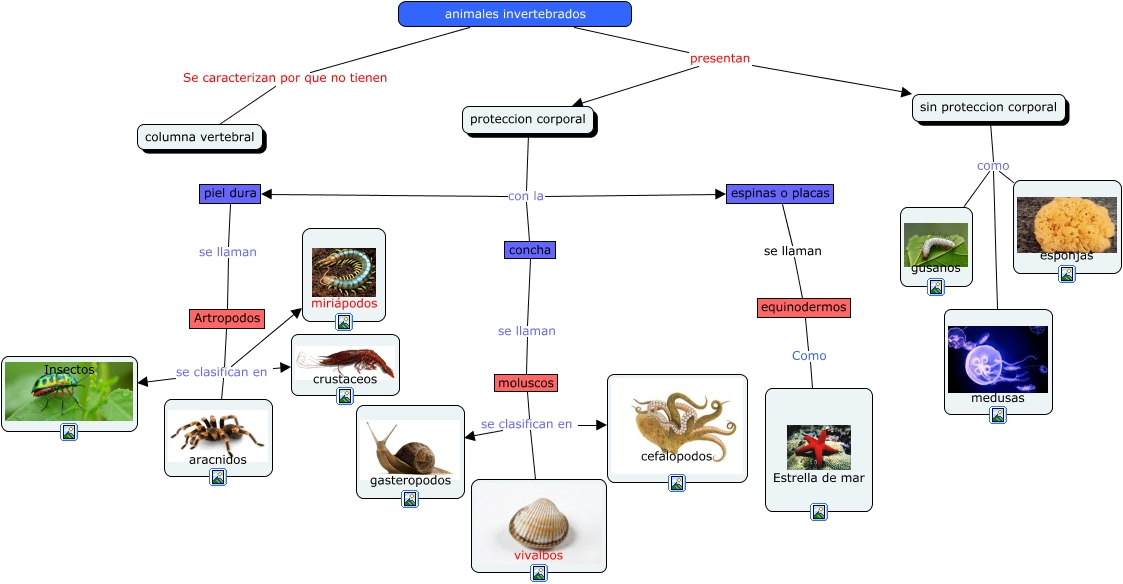 Mi mapa conceptual - julian