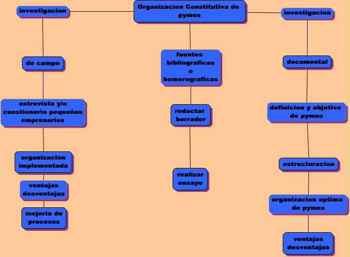 organizacion constitutiva de pymes - ti podeinvestigacion