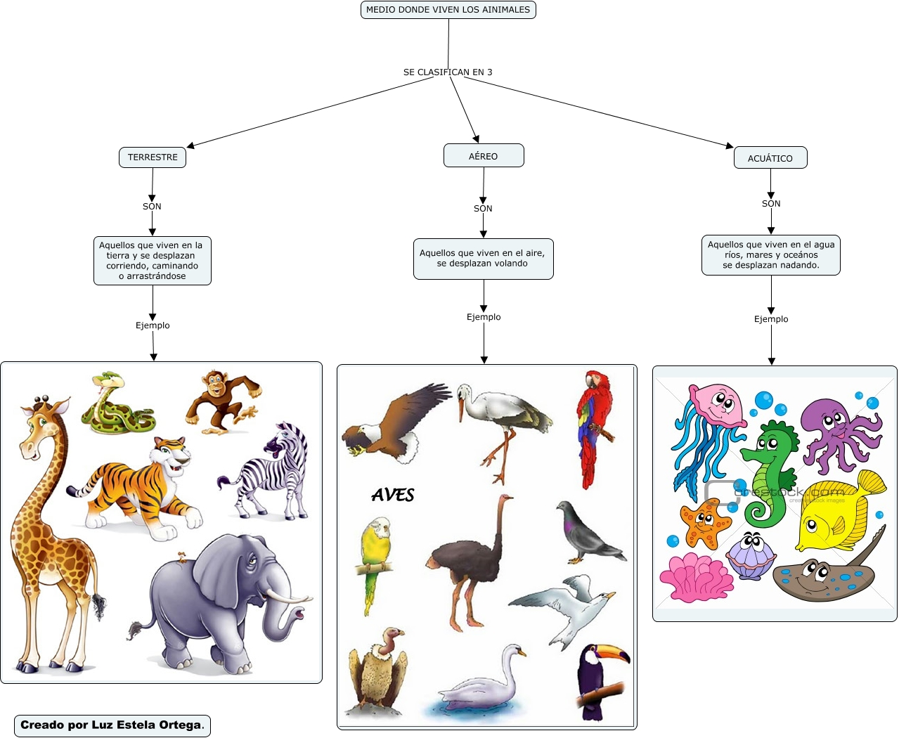 Mapa conceptual Habitat animales