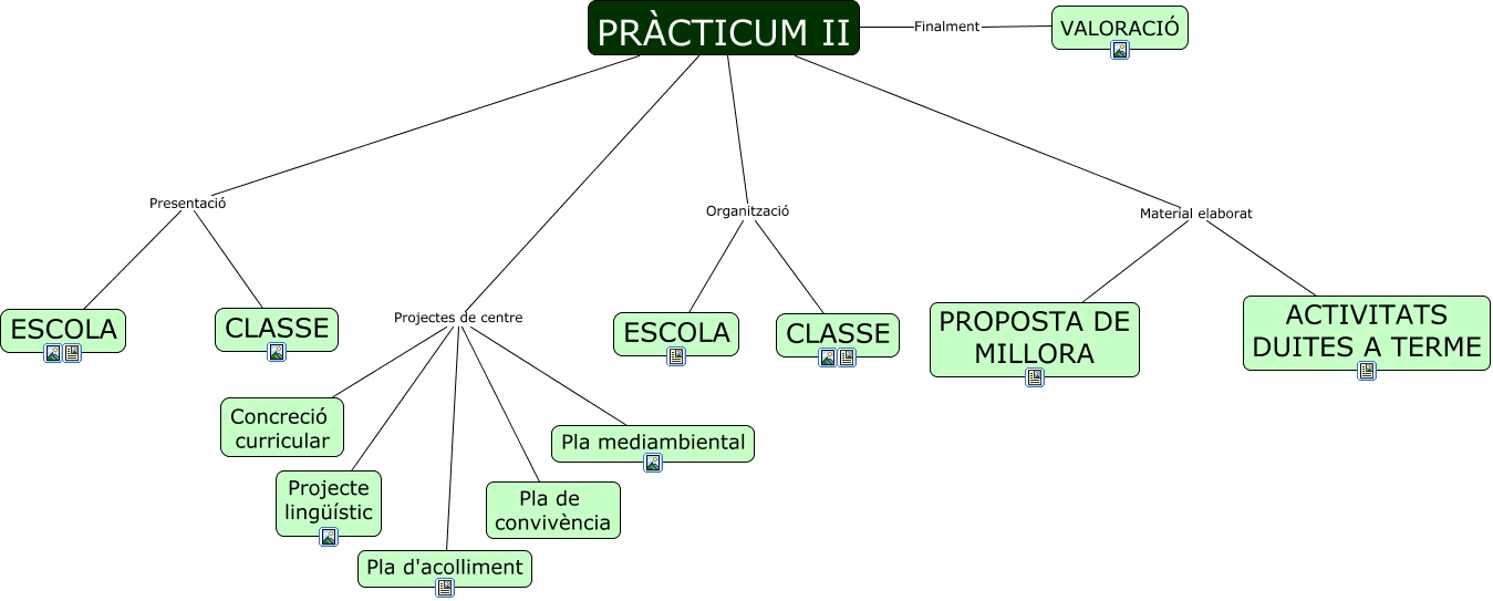PRÀCTICUM II