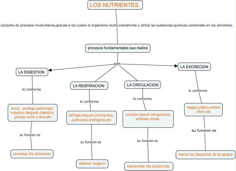 NUTRIENTES - los nutrientes