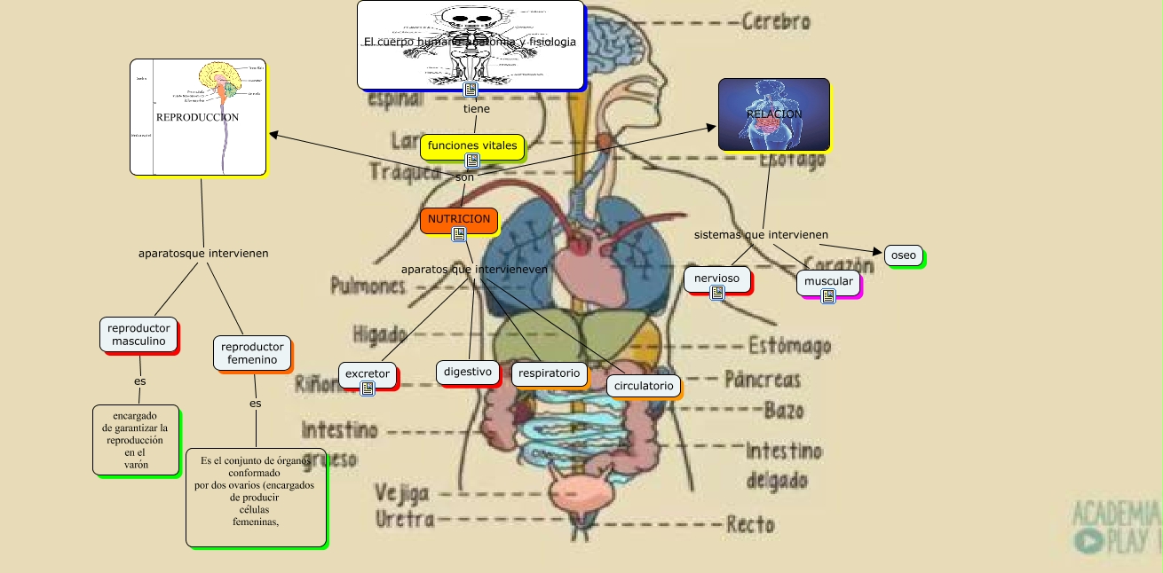 MAPA ACTIVIDAD 10 - SISTMAS
