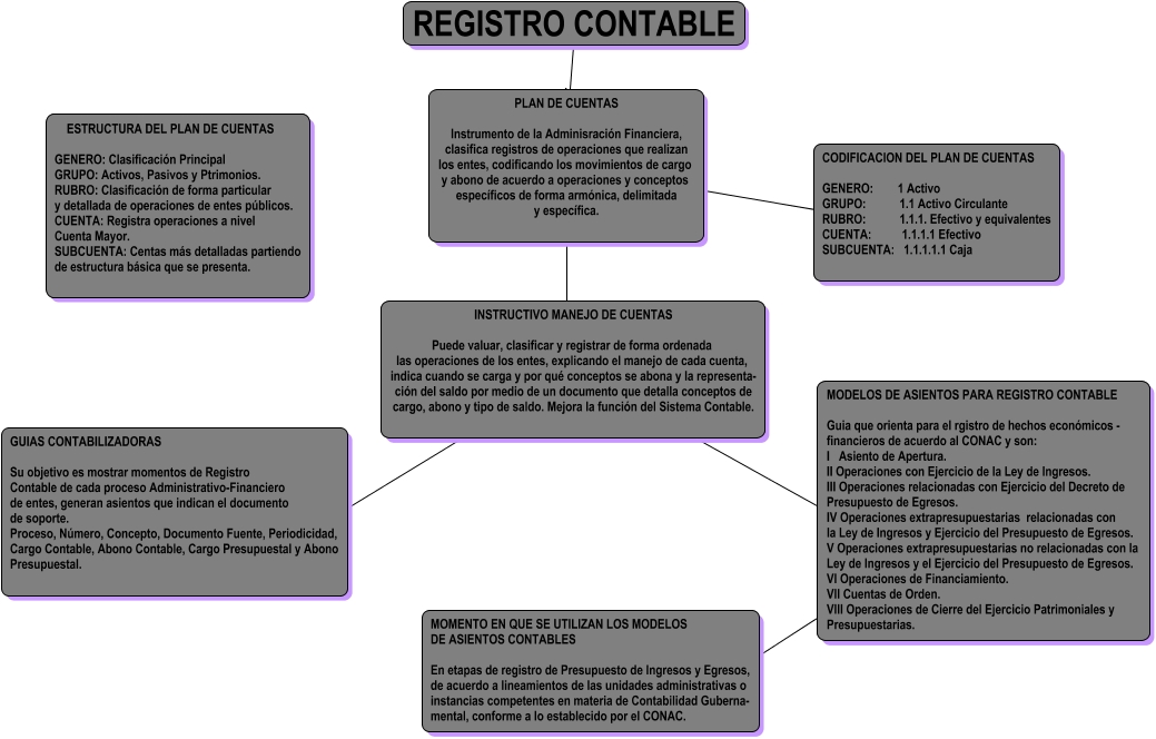 REGISTRO CONTABLE