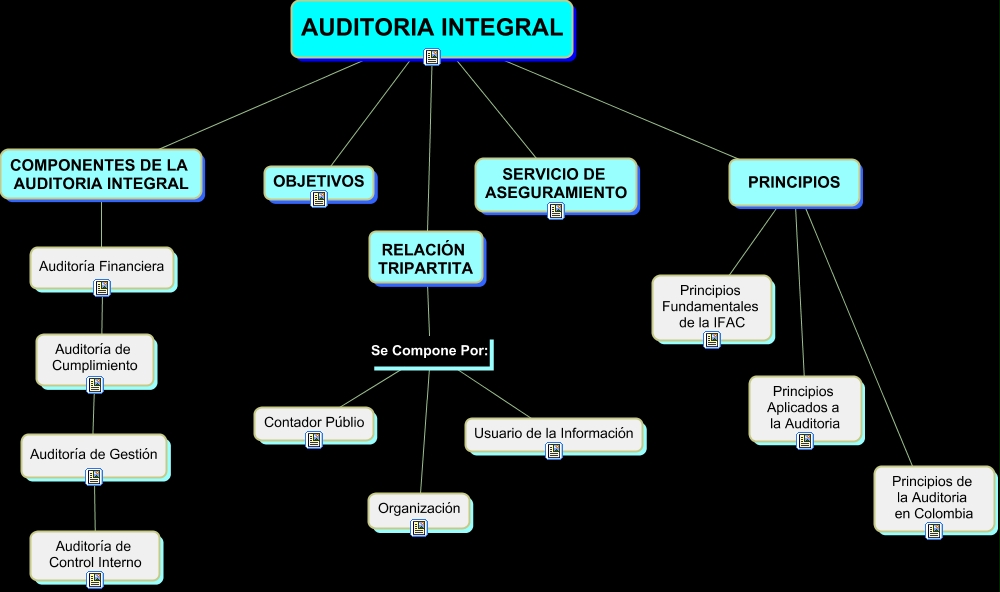 Mapa Conceptual Auditoría Integral