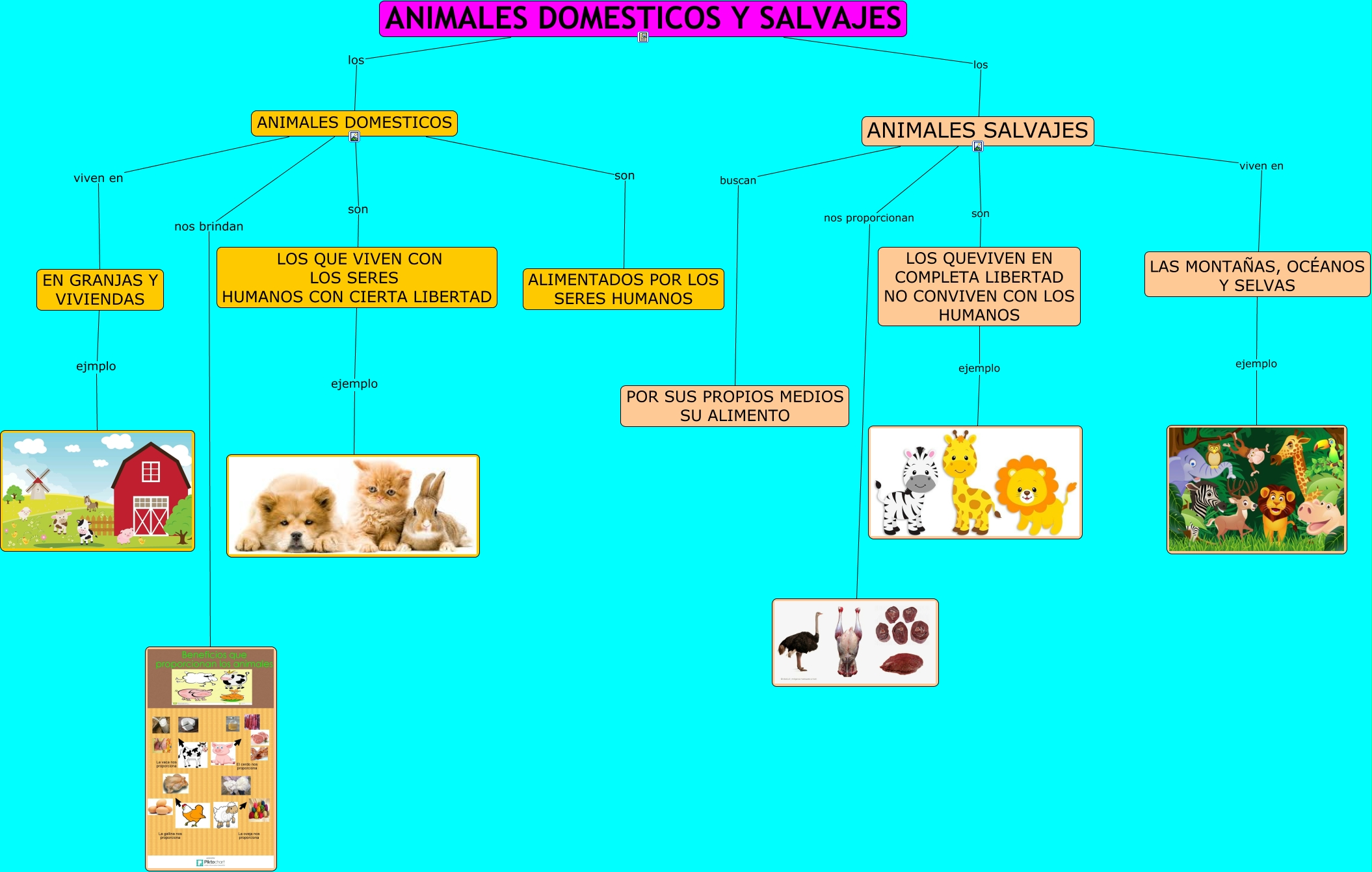 LOS ANIMALES DOMESTICOS Y SALVAJES