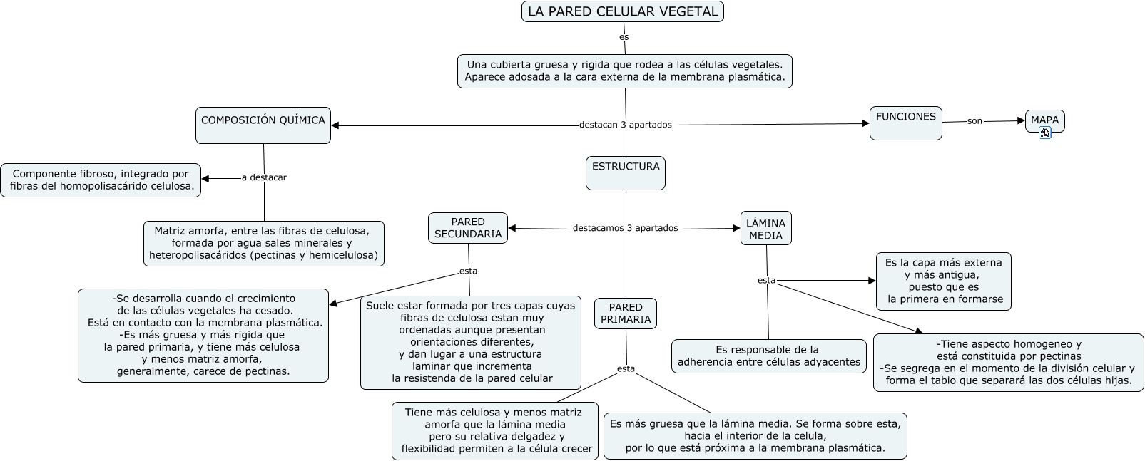 PARED CELULAR VEGETAL