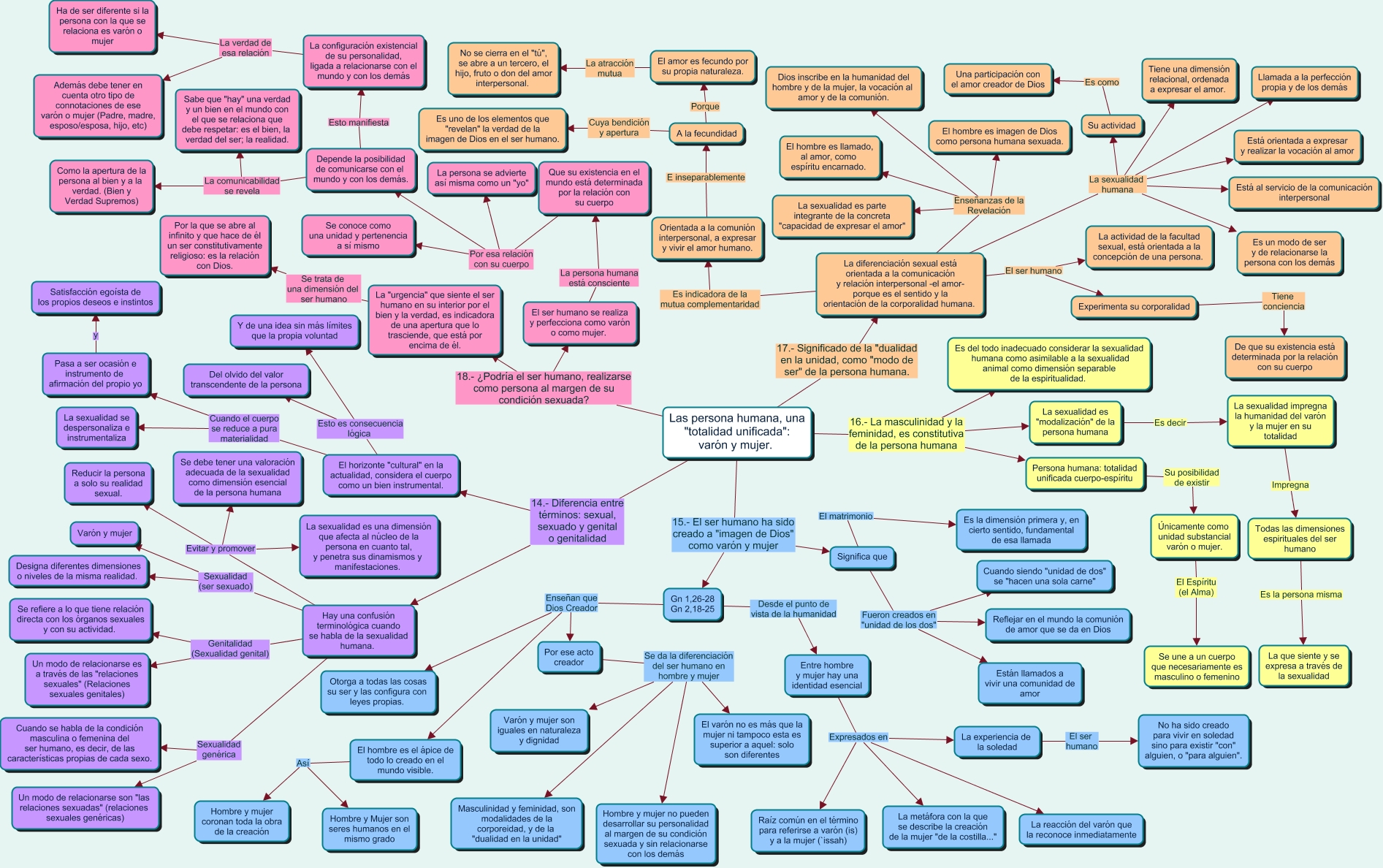 La personas humana, una totalidad unificada - varón ymujer