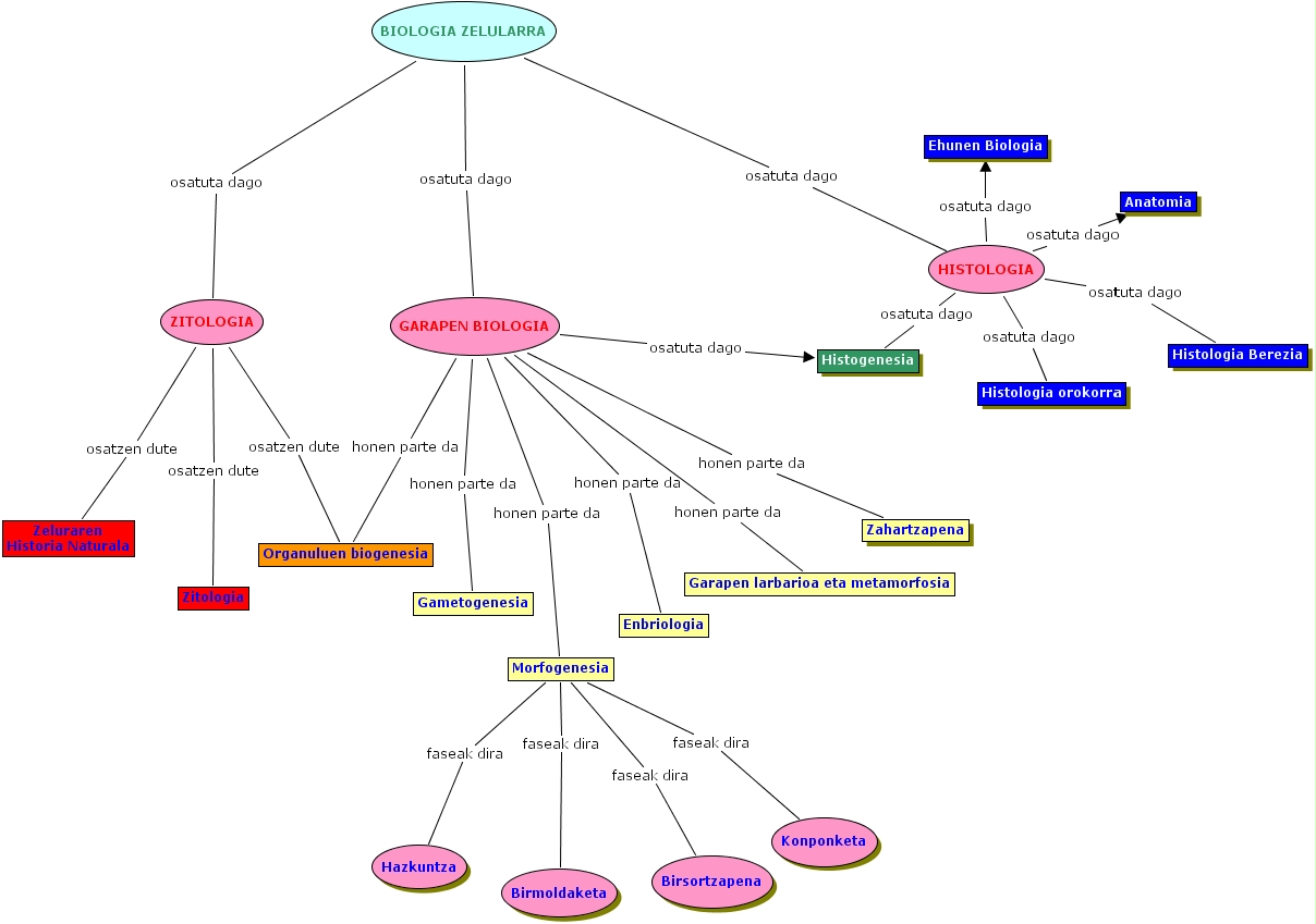IHMC CmapTools - Concept Map :: Asierren zelula